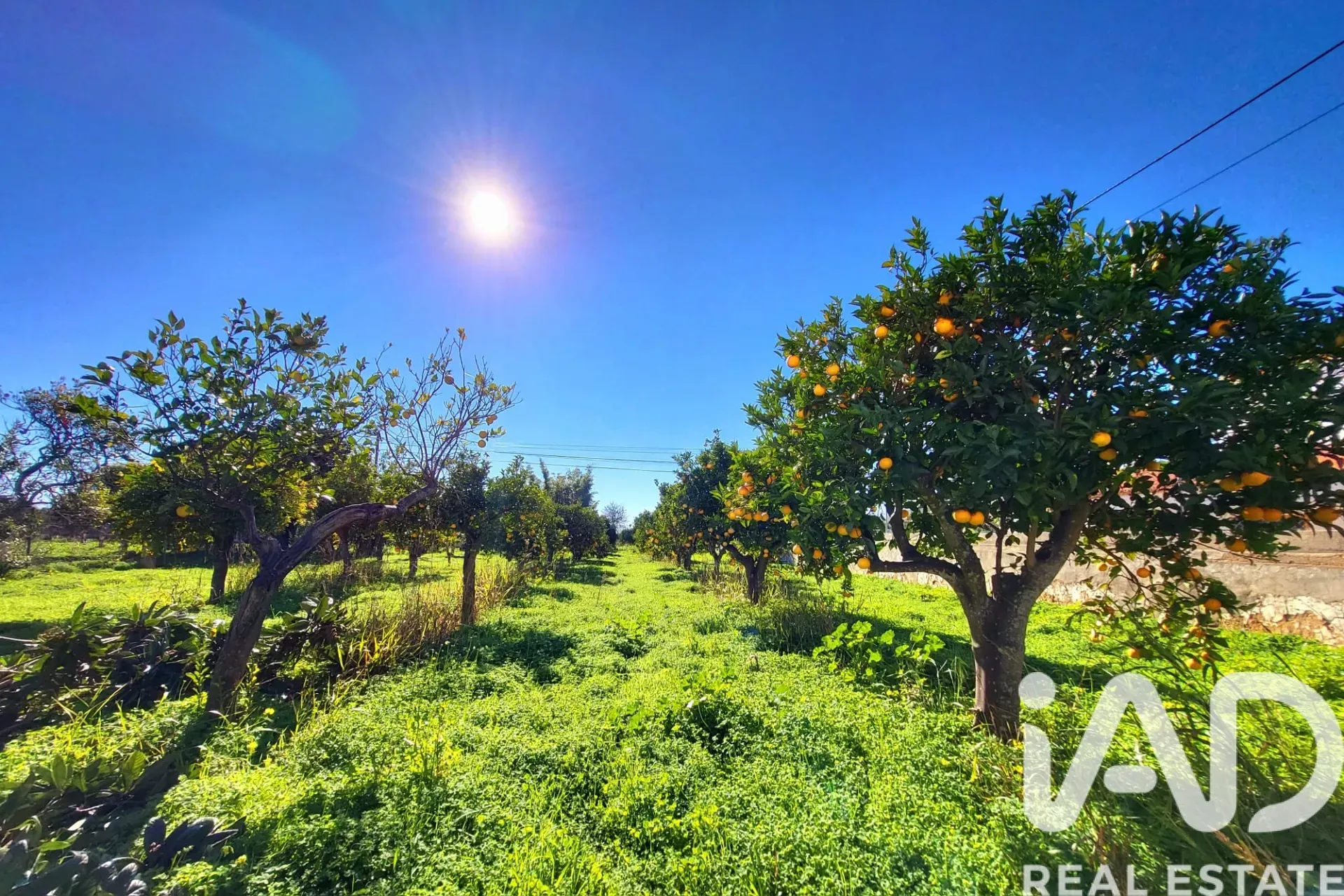 Elegant 4-Bedroom House with Citrus Orchard in Luz, Algarve - Residaro